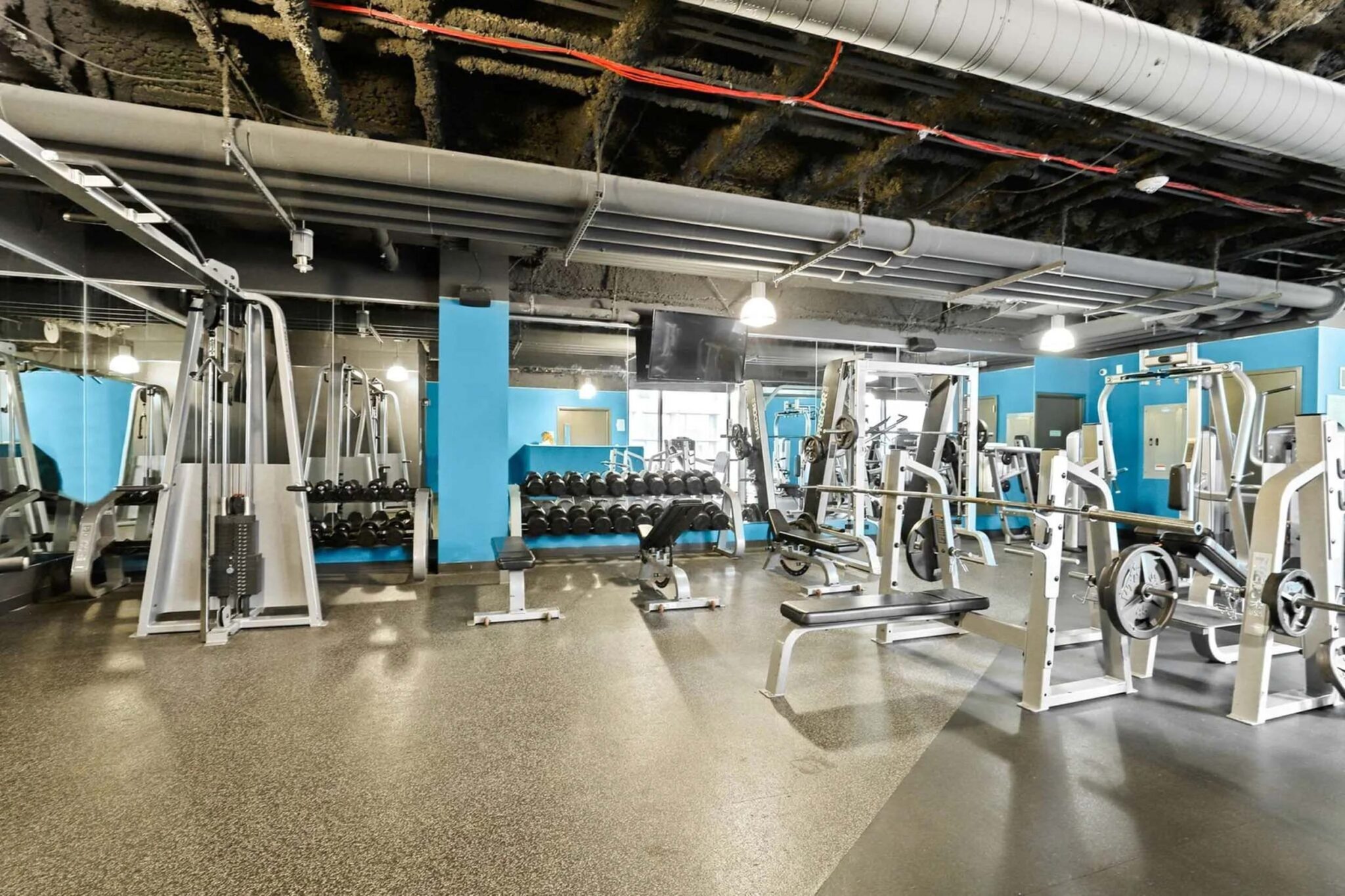 Discover Auraria Lofts: High-Rise Apartments Near CU Denver